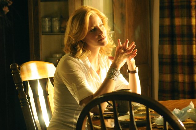Anna Gunn as Skyler White - Sitcoms Online Photo Galleries
