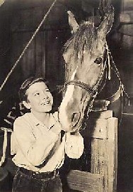 My Friend Flicka: Johnny Washbrook and Flicka - Sitcoms Online Photo ...