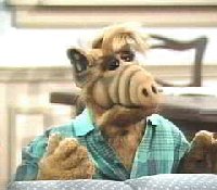 ALF - Sitcoms Online Photo Galleries