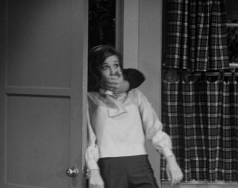 Mary Tyler Moore as Laura Petrie - Sitcoms Online Photo Galleries