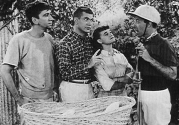 The Many Loves of Dobie Gillis - Sitcoms Online Photo Galleries