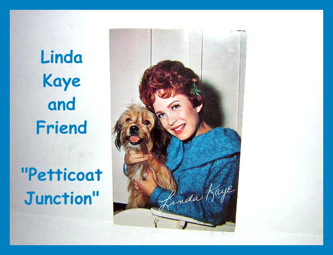 Linda Kaye - Sitcoms Online Photo Galleries
