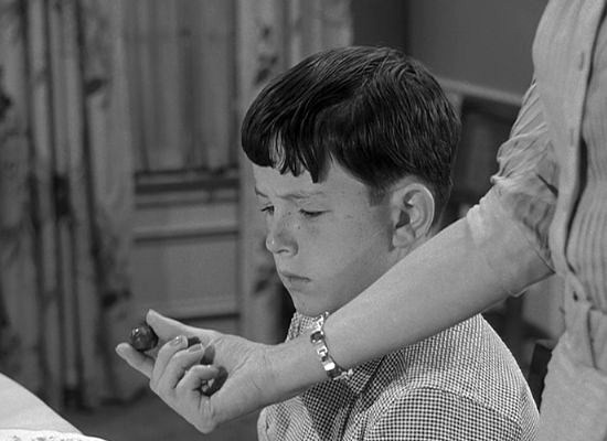 Jerry Mathers as Beaver Cleaver - Sitcoms Online Photo Galleries