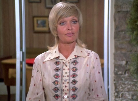 Florence Henderson as Carol Brady - Sitcoms Online Photo Galleries
